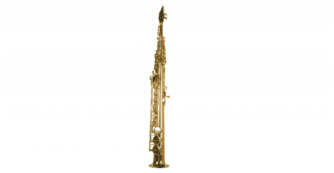 The Different Types of Saxophones [Complete Guide]