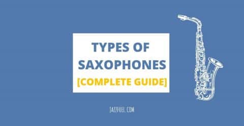 The Different Types of Saxophones [Complete Guide]