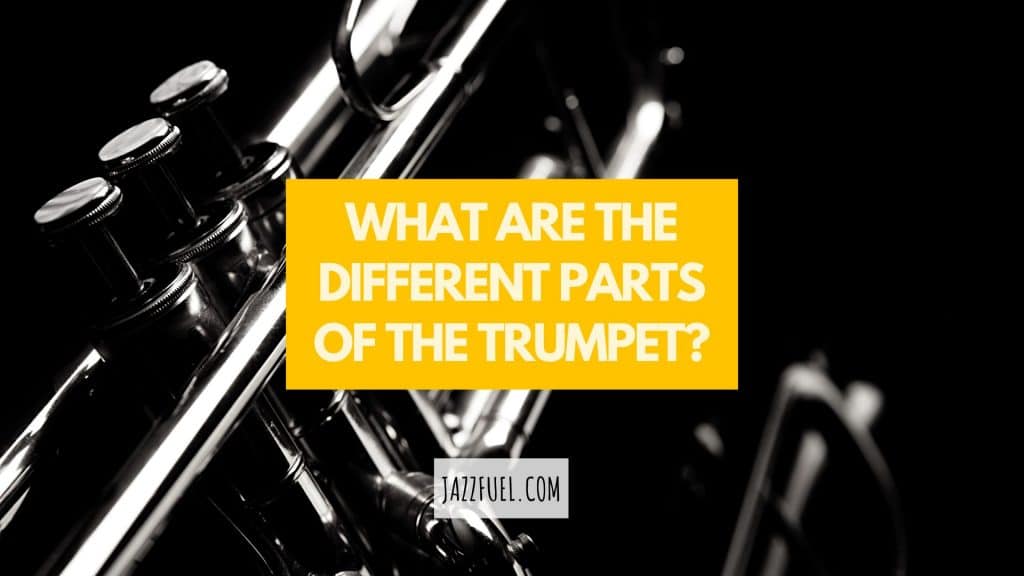 What Are the Different Parts of the Trumpet? Instrument Anatomy - Jazzfuel